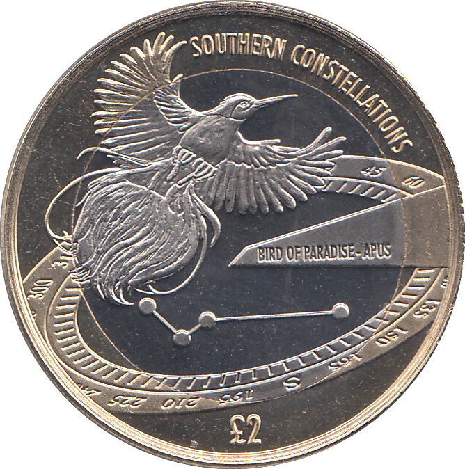 2022 2 POUND APUS CONSTELLATION BIRD OF PARADISE ( BU ...