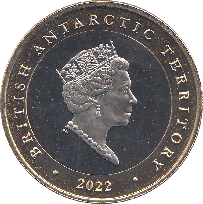 2022 2 POUND APUS CONSTELLATION BIRD OF PARADISE ( BU ...