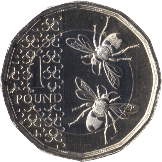 NEW KING CHARLES 2023 ONE POUND BRILLIANT UNCIRCULATED £1 BU ...
